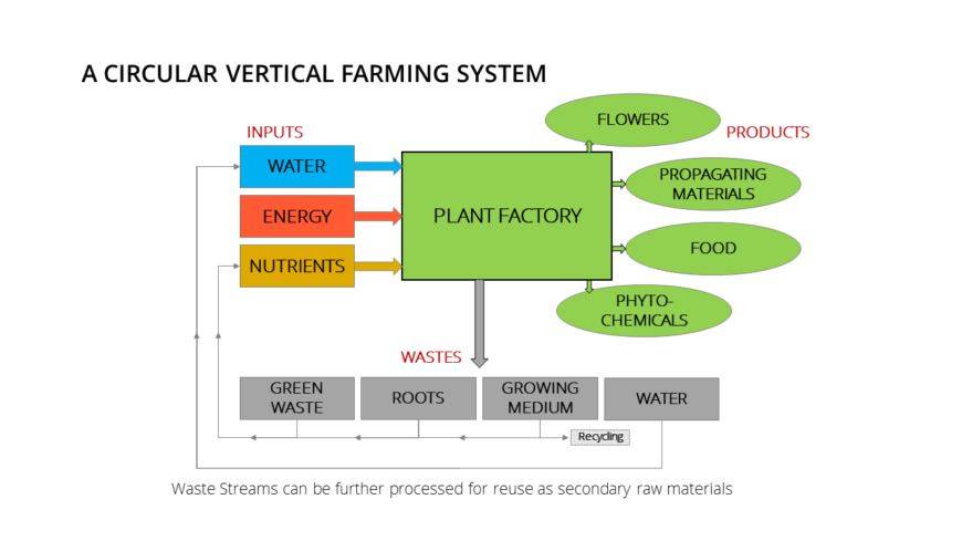 Vertical Farming – Biopolus